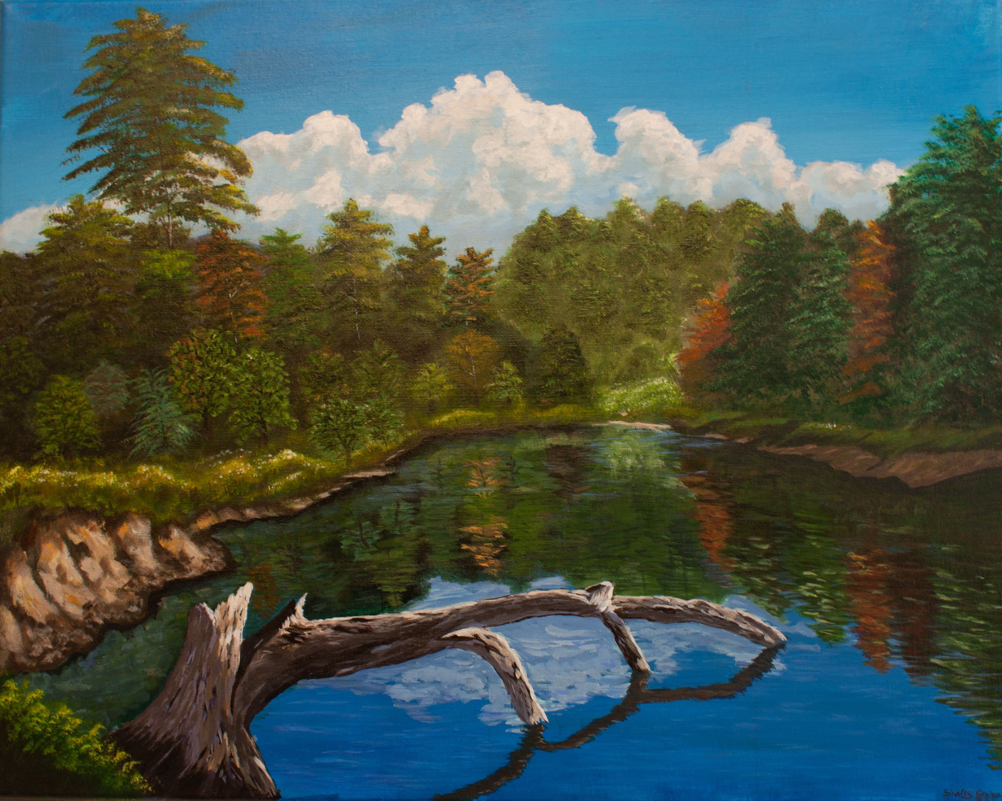 Fine Art By Sherry Graham